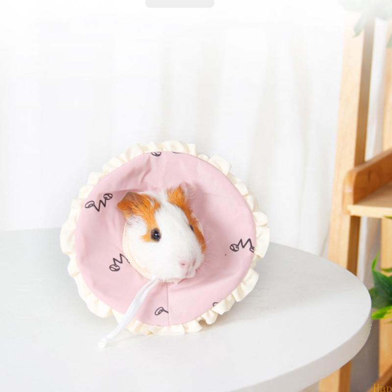 Hamster for Protection Cone Neck Recovery Collar Small Animal ...