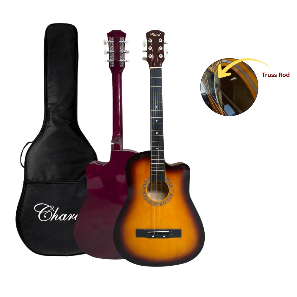 Chard 3850C Acoustic Guitar (Without EQ) – Full Size with Truss Rod and ...