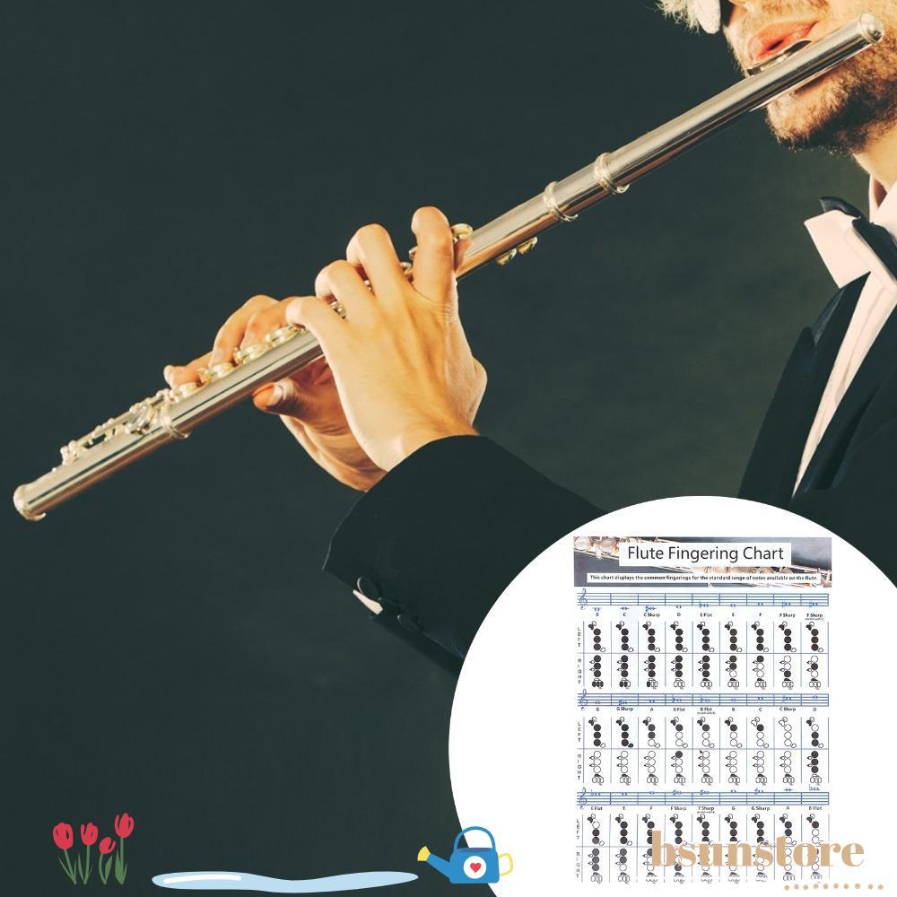 BSUNSTORE Flute Fingering Chart, 28x21cm Small Includes Notes Scales ...