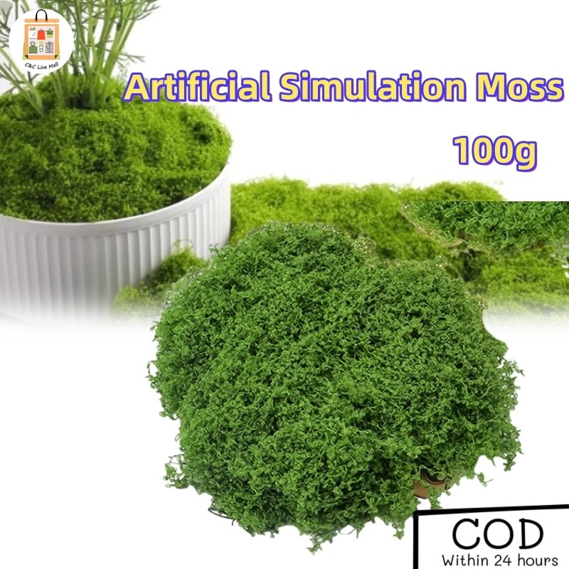 100g Artificial Simulation Moss, Simulation Moss Lawn Decoration, Micro ...