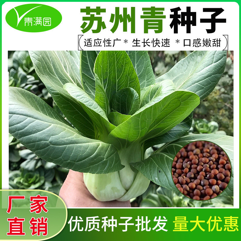 Wholesale Black Big Head Suzhou Green Black Big Head Vegetable Seeds ...