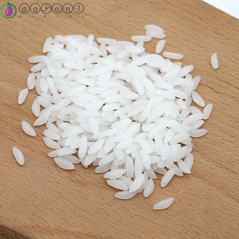 AARONB Rice Model Simulated Miniatures Interesting Display Prop ...
