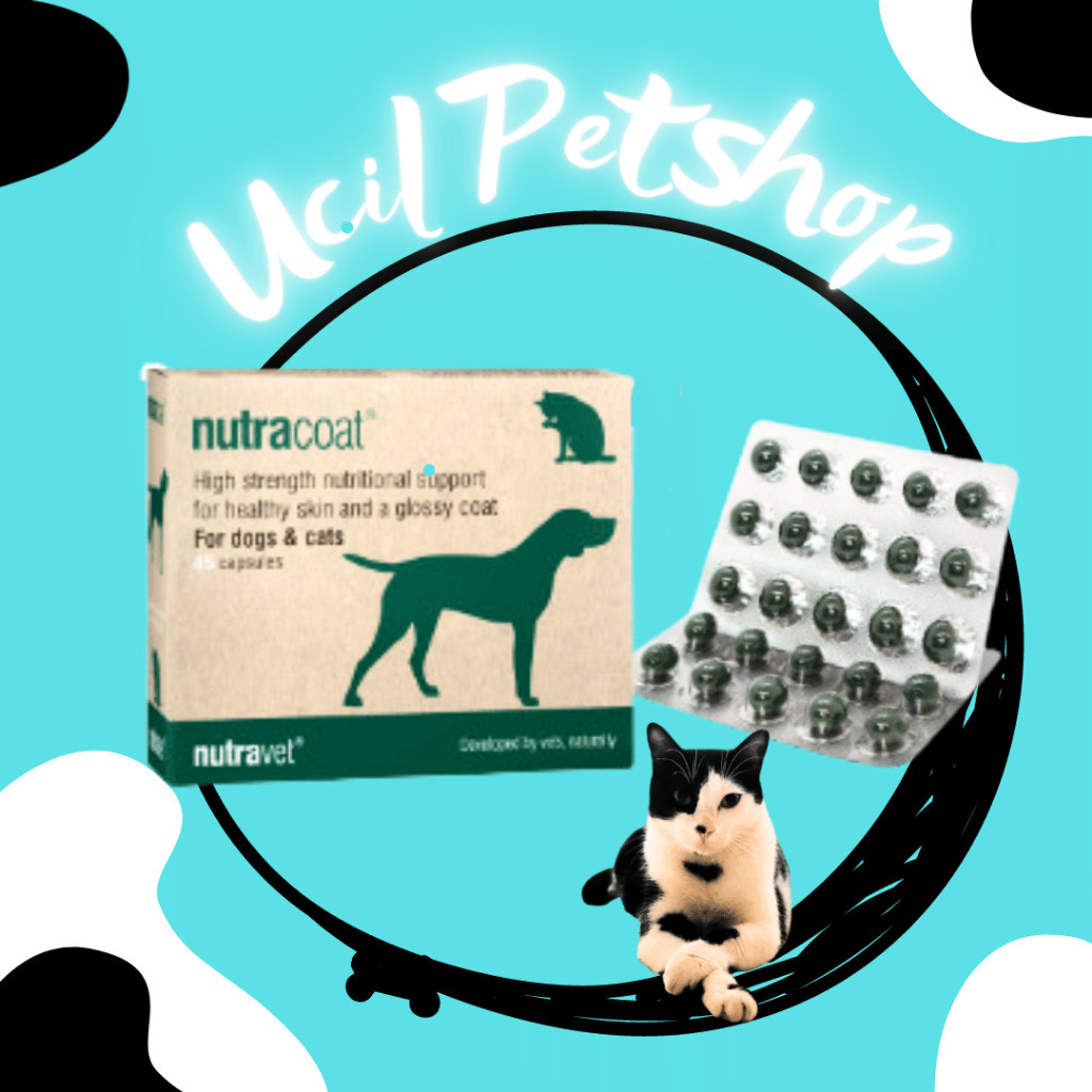 Nutracoat Vitamin Supplement for Skin & Fur for Cats and Dogs ...