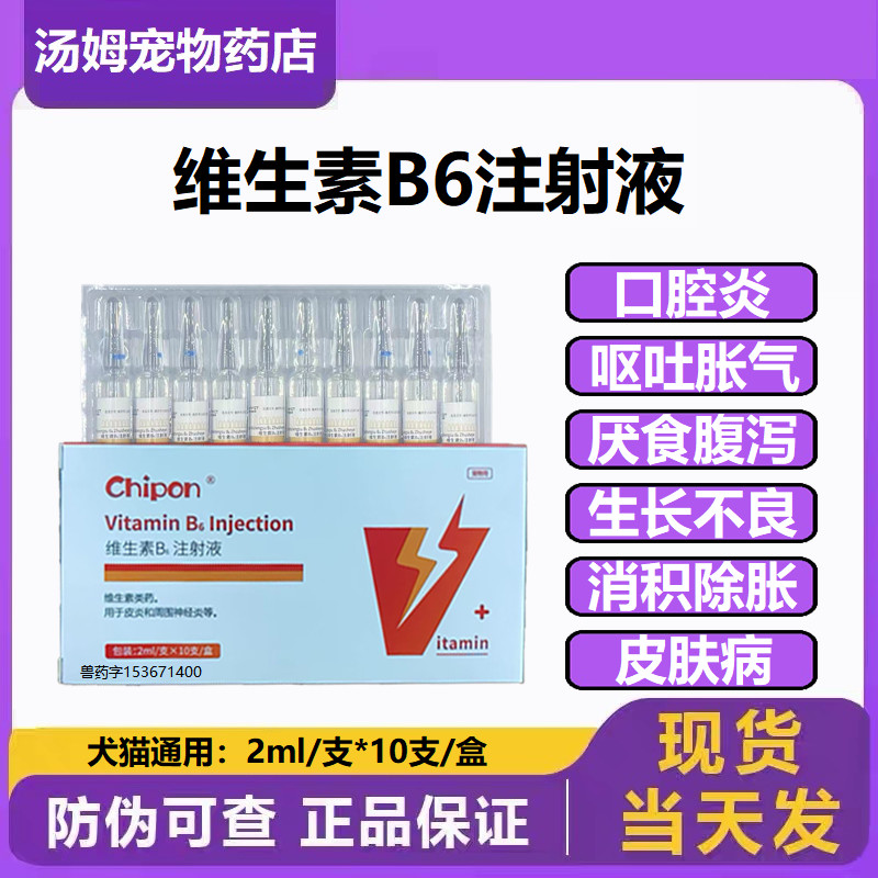 2025 New Products b6 Injection Liquid for Animals Pets Dogs Cats ...