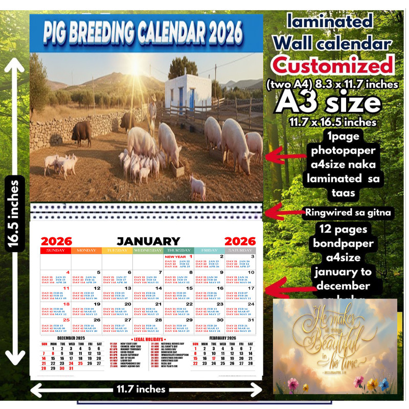 2026 PIG BREEDING CALENDAR Laminated A3 size | Shopee Philippines