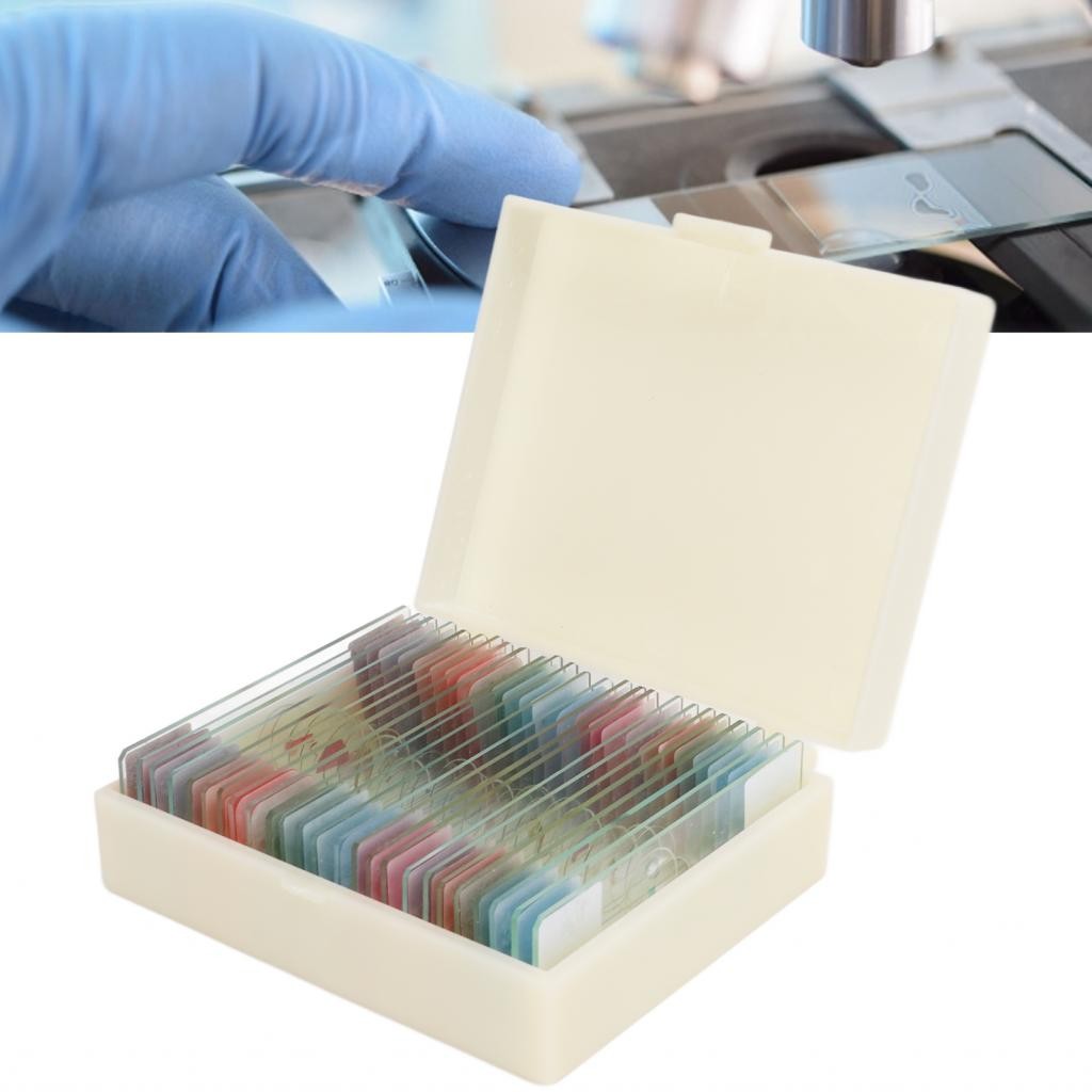 Eacam 25Pcs Prepared Glass Slides Transparent Specimens for Biology ...