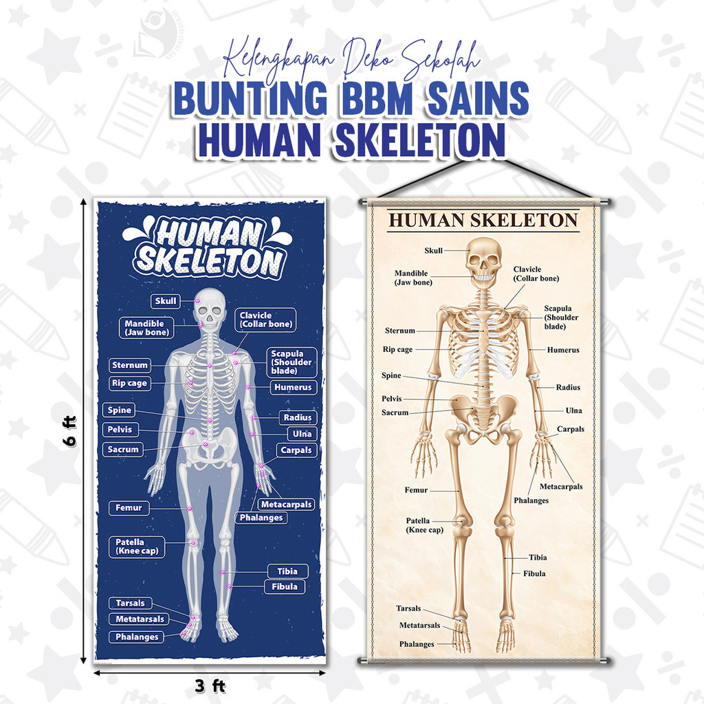 DESIGN BUNTING SAINS - HUMAN SKELETON / STRUKTUR TULANG MANUSIA / BBM ...