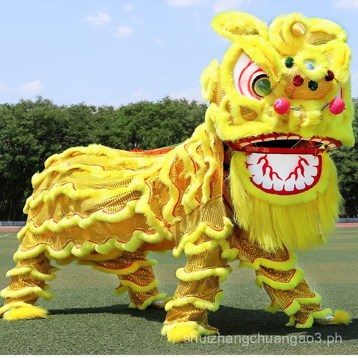 Rental New Double Lion Dance Props Full Set Single Lion Dance Dragon ...