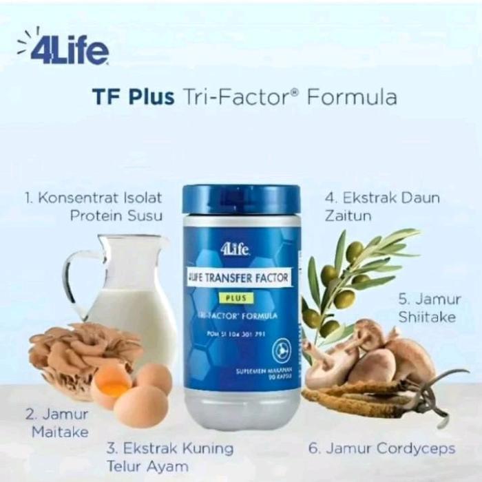 4LIFE TRANSFER FACTOR PLUS INDONESIA TRI FACTOR FORMULA CONTENTS 90 - 4 ...