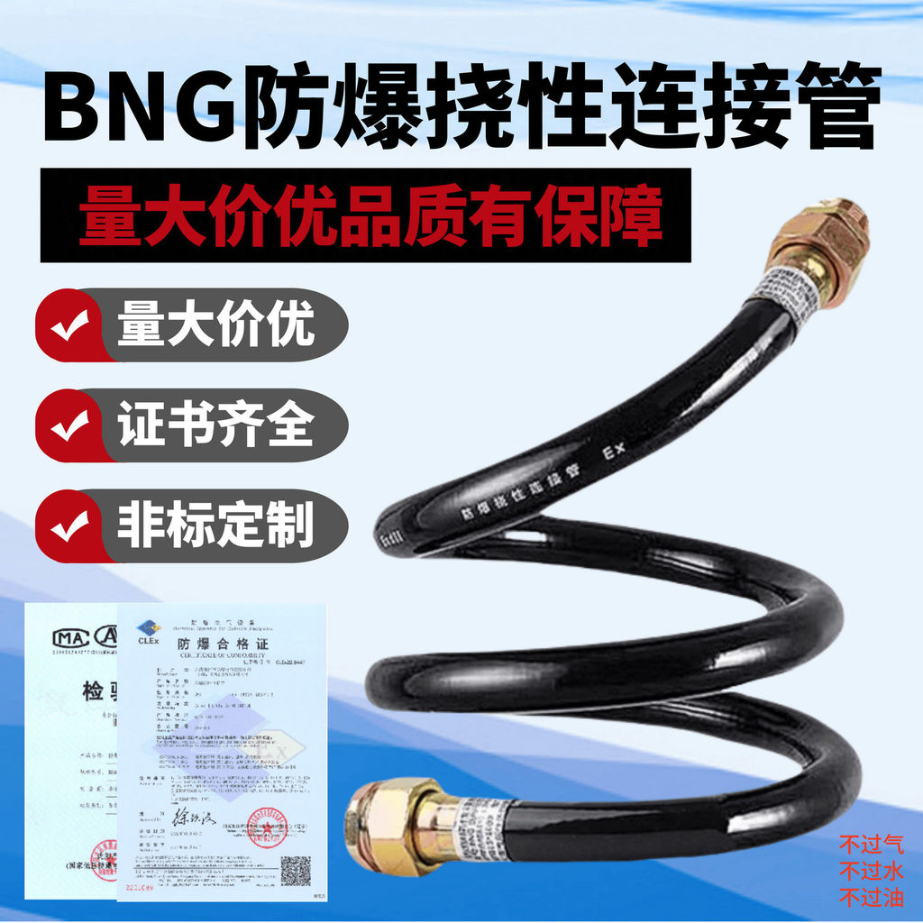 BNG Explosion-proof Flexible Connection Pipe DN15Threaded Explosion ...