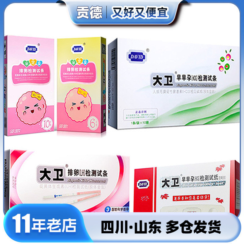 David Early Pregnancy Test Paper Cardboard Test Stick 10 Pieces ...