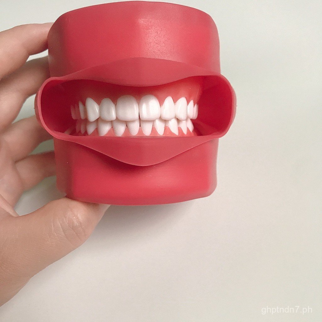 Dental Oral Science Teaching Extraction Model Tooth Preparation ...
