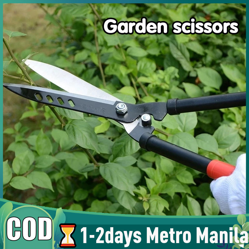 Garden scissors for grass cutting lawn garden tool gardening tree ...