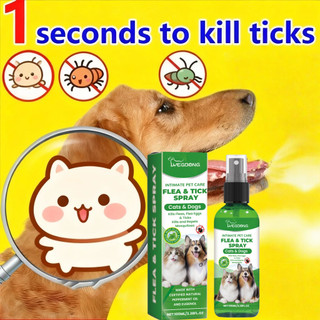 Effective Flea and Tick Remover for Dog and Cat Anti Garapata Remover ...