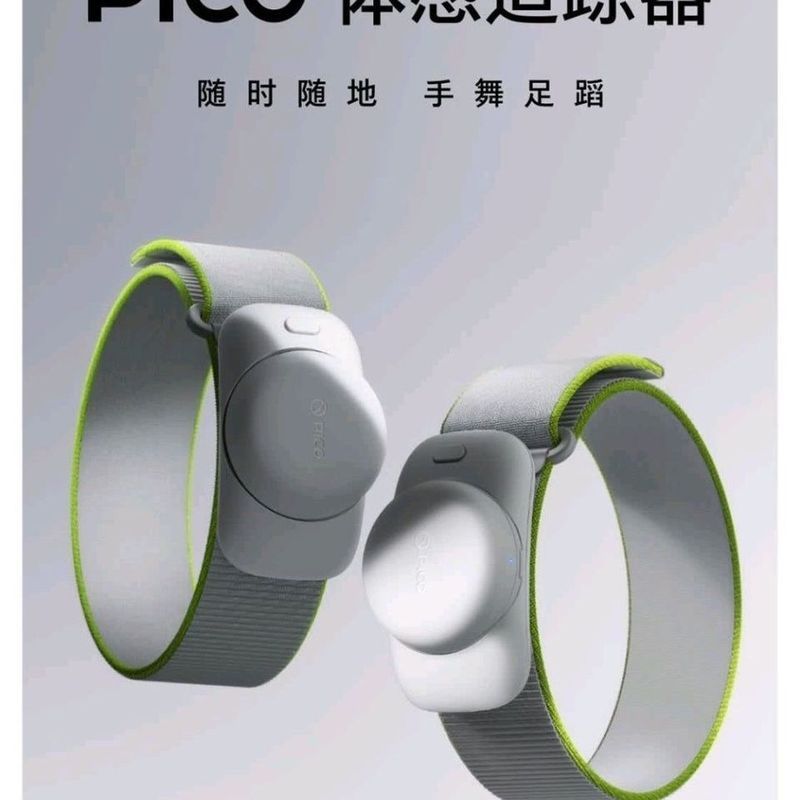 Shaodong City Bingbang Commercial Co., Ltd. Pico Waist Tracker Action ...
