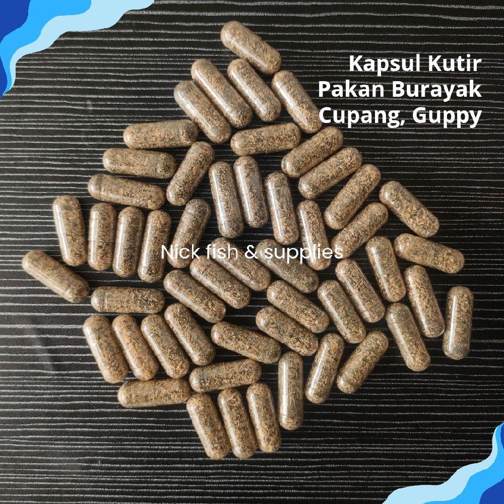 FEED - Capsules Kutir STARTER Moina Macrocopa Fry betta Guppy Molly ...
