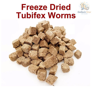 Premium Freeze Dried Fish Food Tubifex/Bloodworm/Brine Shrimp | Shopee ...