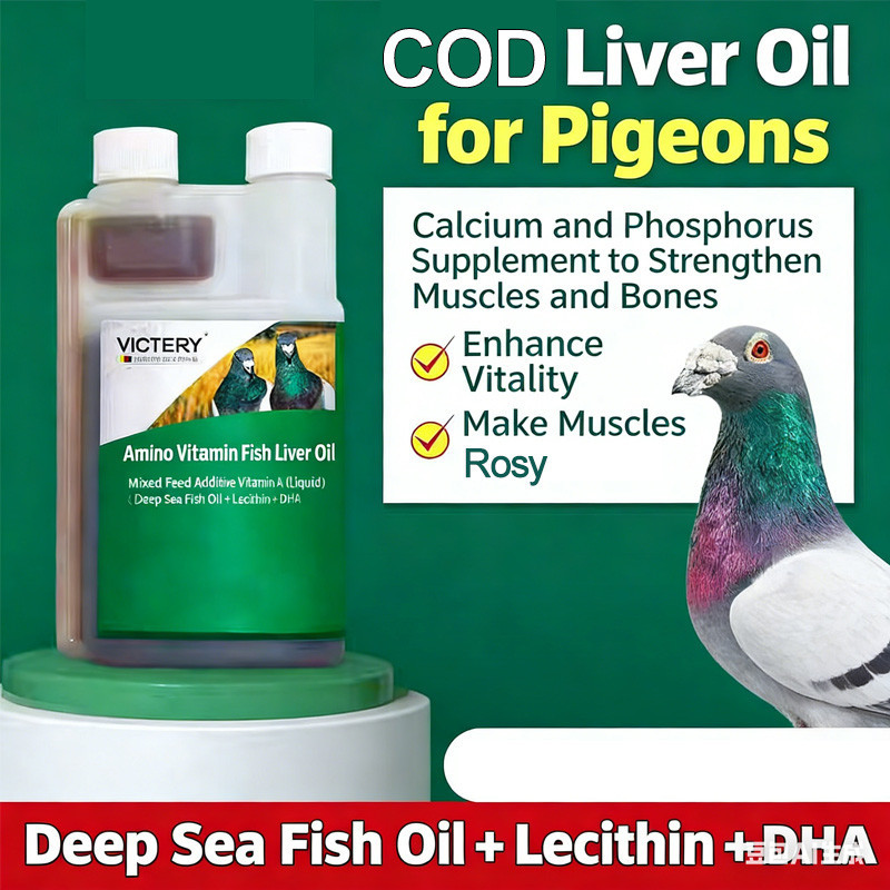 Victery Cod Liver Oil 100ml para sa Racing Pigeons — Amino & Vitamin ...