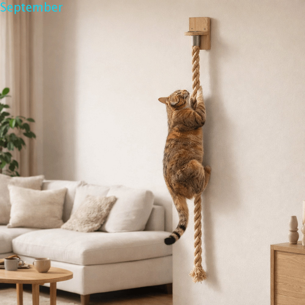 SEPTEMBER Cat Scratch Rope, Wear Resistant Bite Resistant Cat Climbing ...