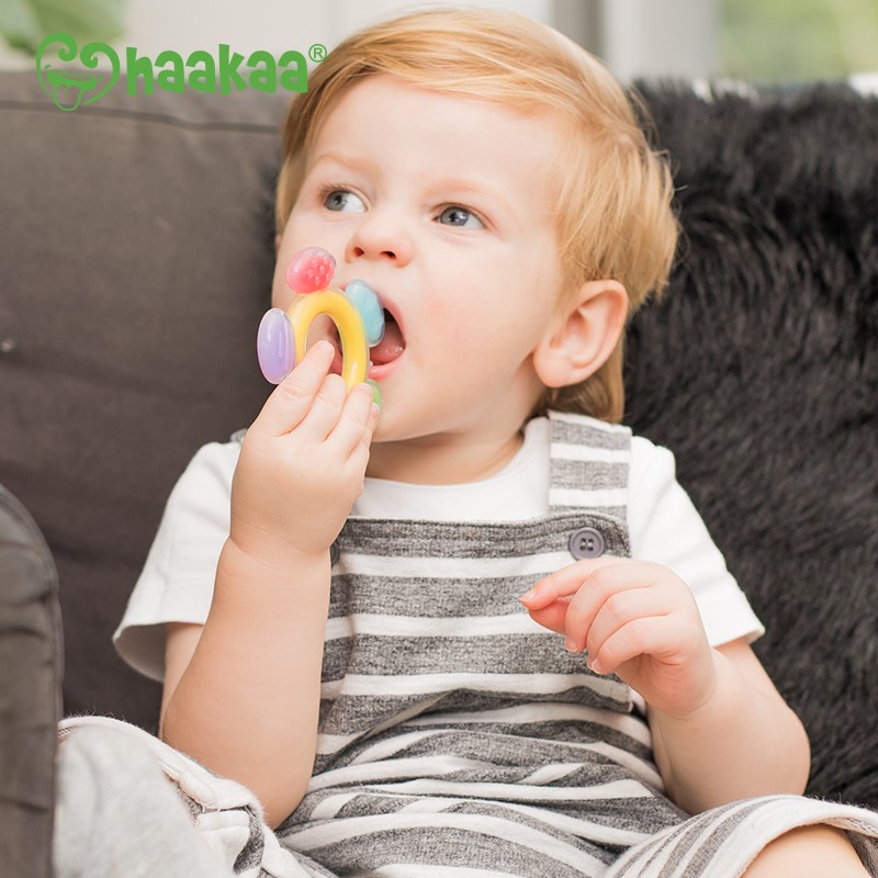 Haakaa Wheel-Shaped Baby Gums, New Zealand. High Quality Silicone ...