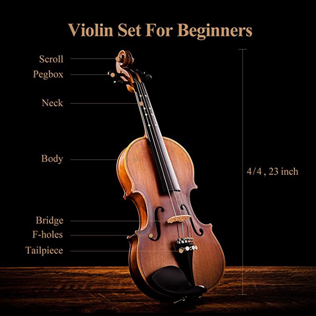 RIXTON Professional Violin 4/4 Full Complete Set of Rosin Free ...
