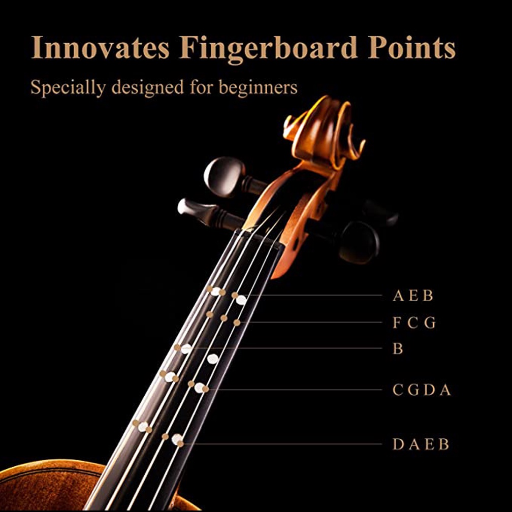 RIXTON Professional Violin 4/4 Full Complete Set of Rosin Free ...