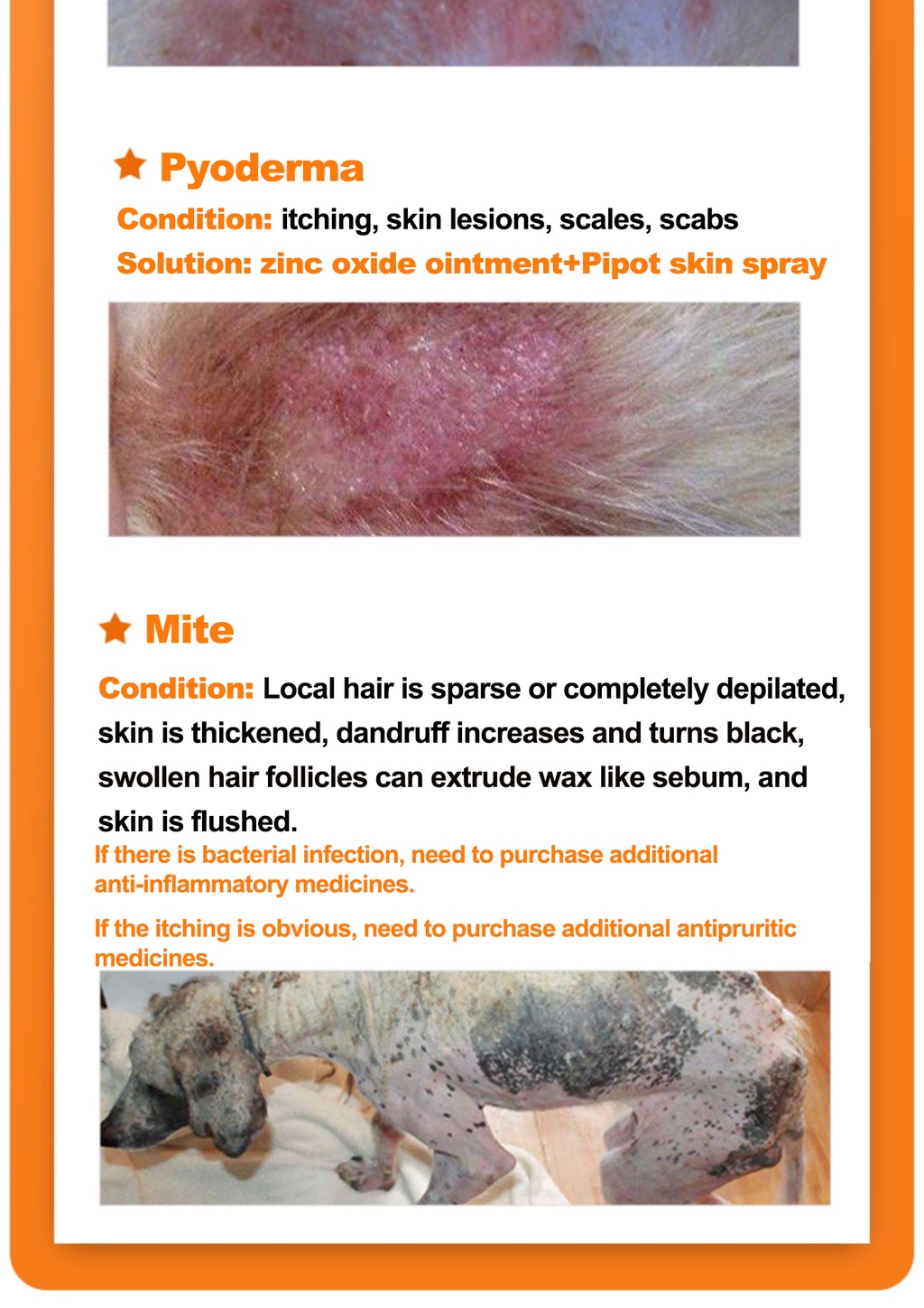 PUAINTA Pet Skin Treatment For Dog and Cat Allergy Dermatitis Eczema ...