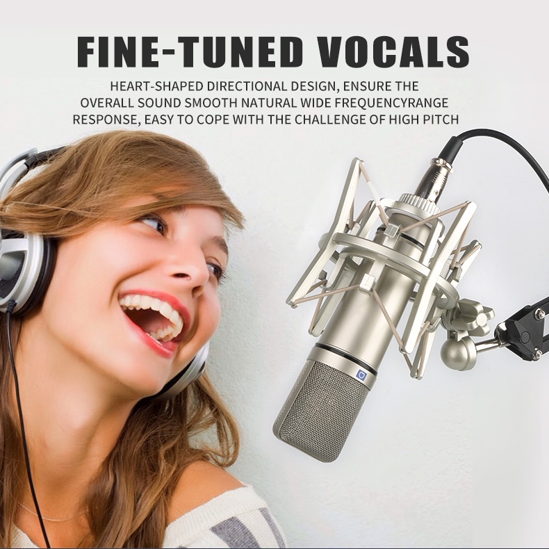 Rayhayes U87 Condenser Microphone Studio With Shockproof Frame Set ...
