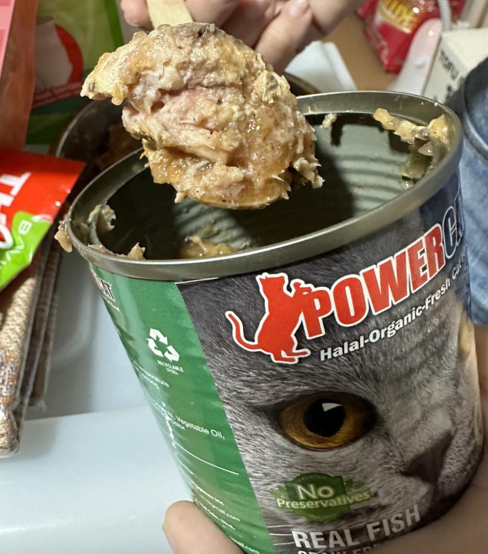 Powercat Wet Cat Can Food 400g | Shopee Philippines