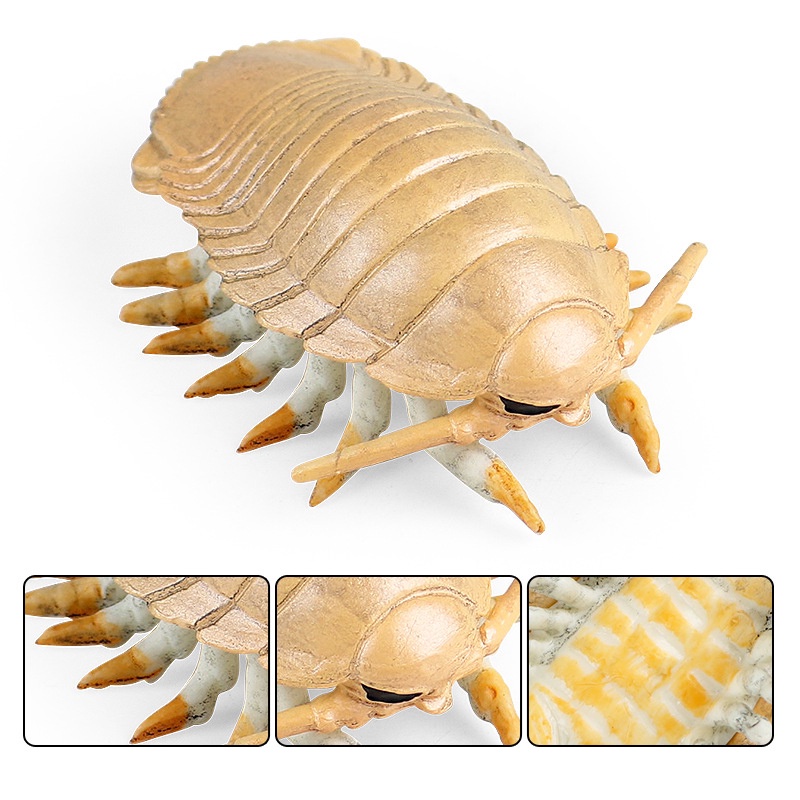 simulation marine organism giant isopod arthropoda model children ...