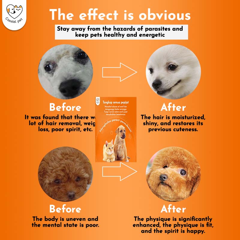 Drontal Buy 3 Get 1 Free Drontal Tasty Dewormer Tablets For Dogs Cats ...