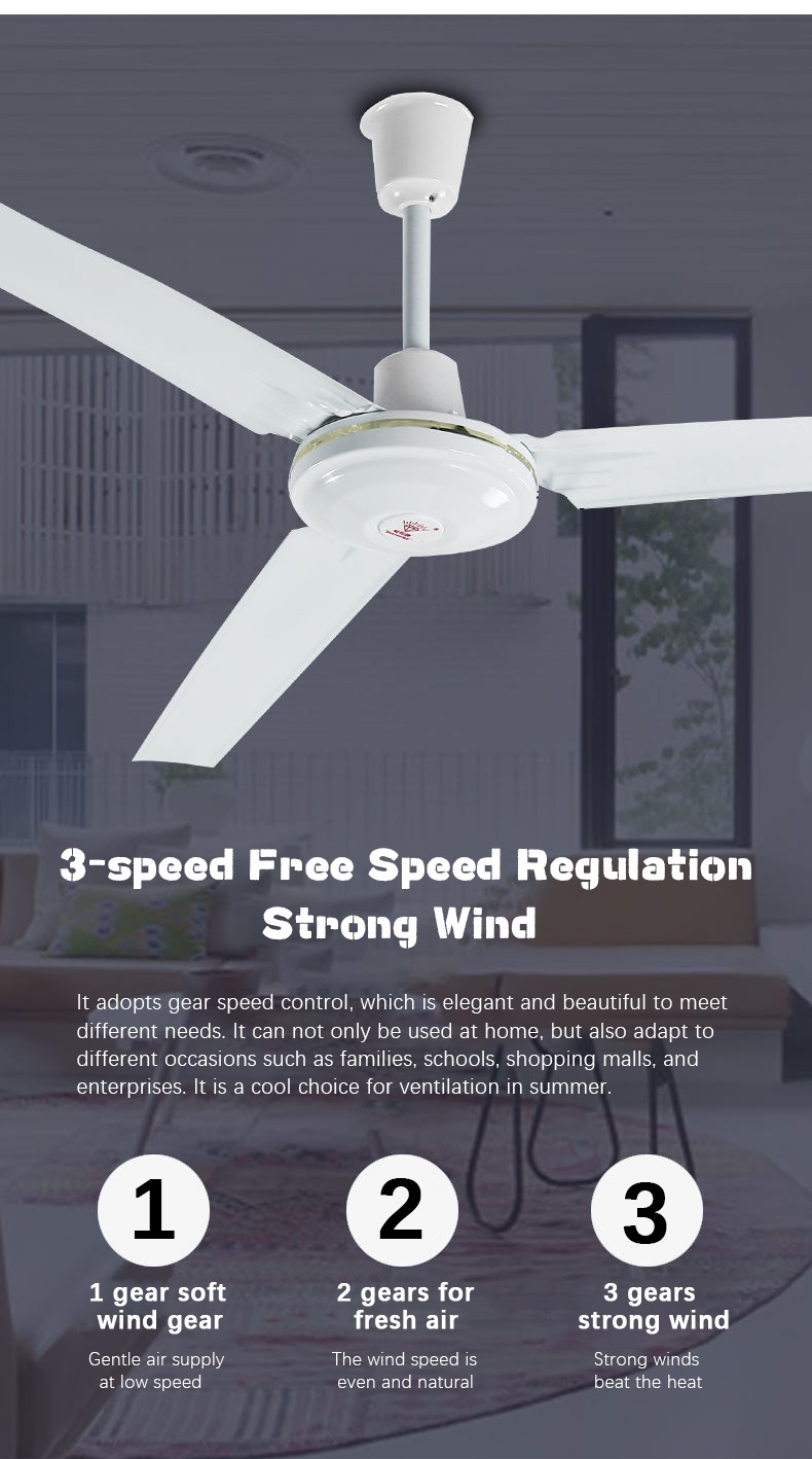 Ceiling fan stainless steel fan 42-56 inch kitchen ceiling fan living ...