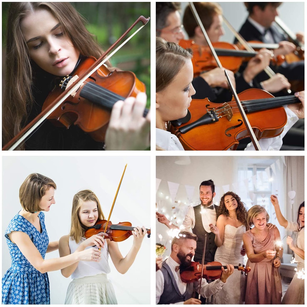 RIXTON Professional Violin 4/4 Full Complete Set of Rosin Free ...