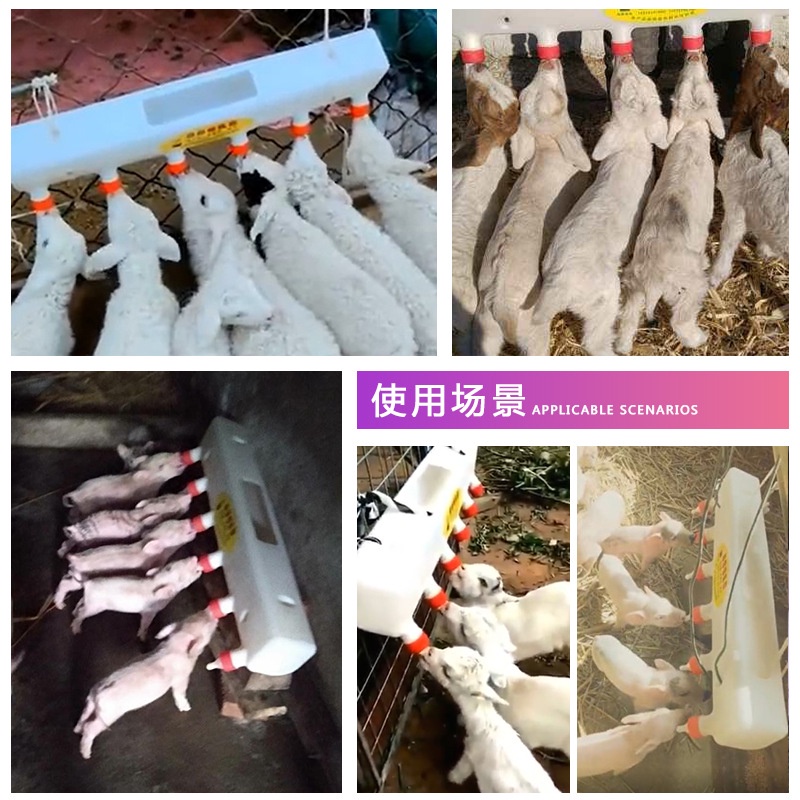 Feeder For Piglets And Lambs, Veterinary Milk Feeder, Piglet Feeding ...