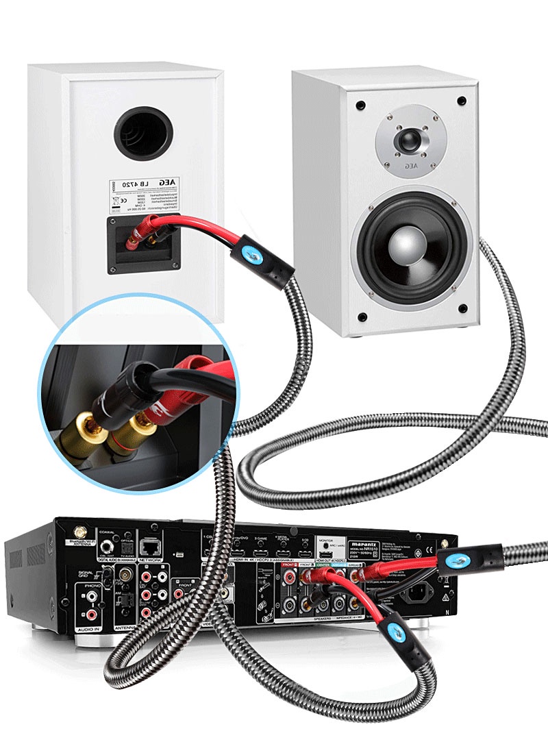 GOLLEY LION 1 Pair High Fidelity Speaker Cable 2 In Out Banana Plug ...