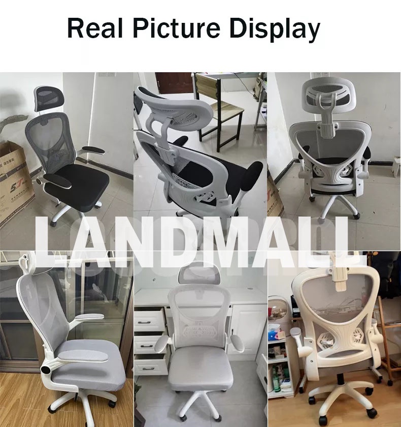 Computer Chair Office Korean Style Ergonomics Chair Home mesh Study ...