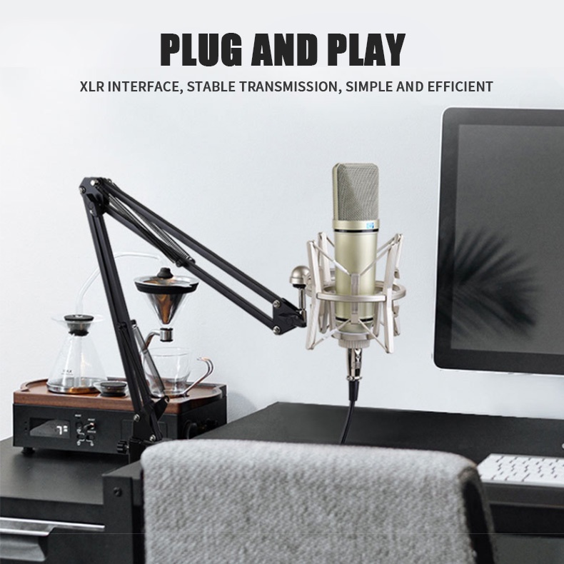 Rayhayes U87 Condenser Microphone Studio With Shockproof Frame Set ...