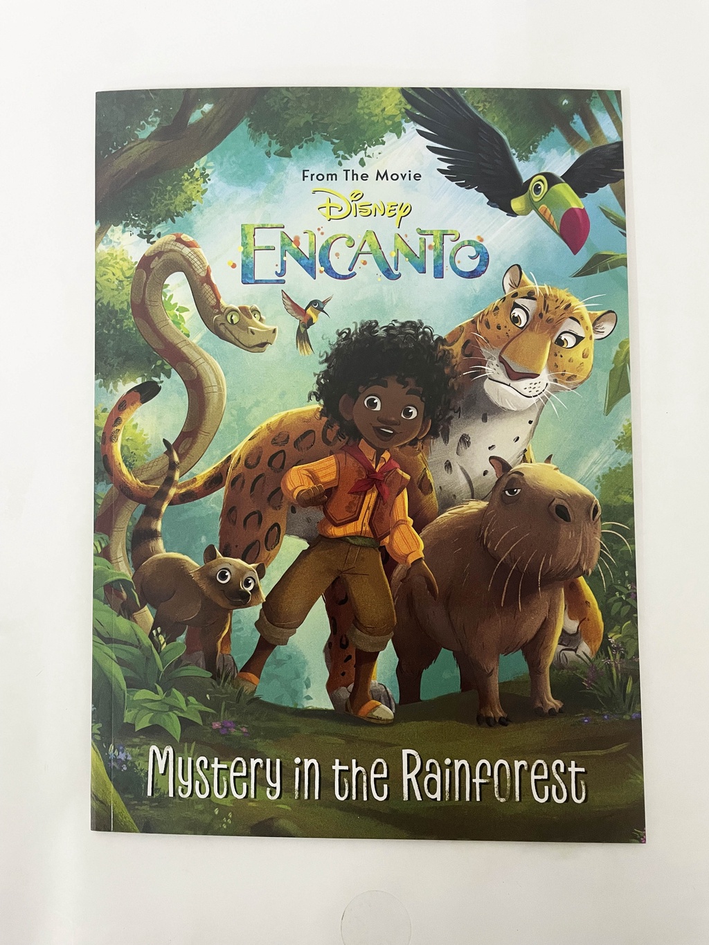 Disney Encanto Story Book For Kids Mystery In The Rainforest | Shopee ...