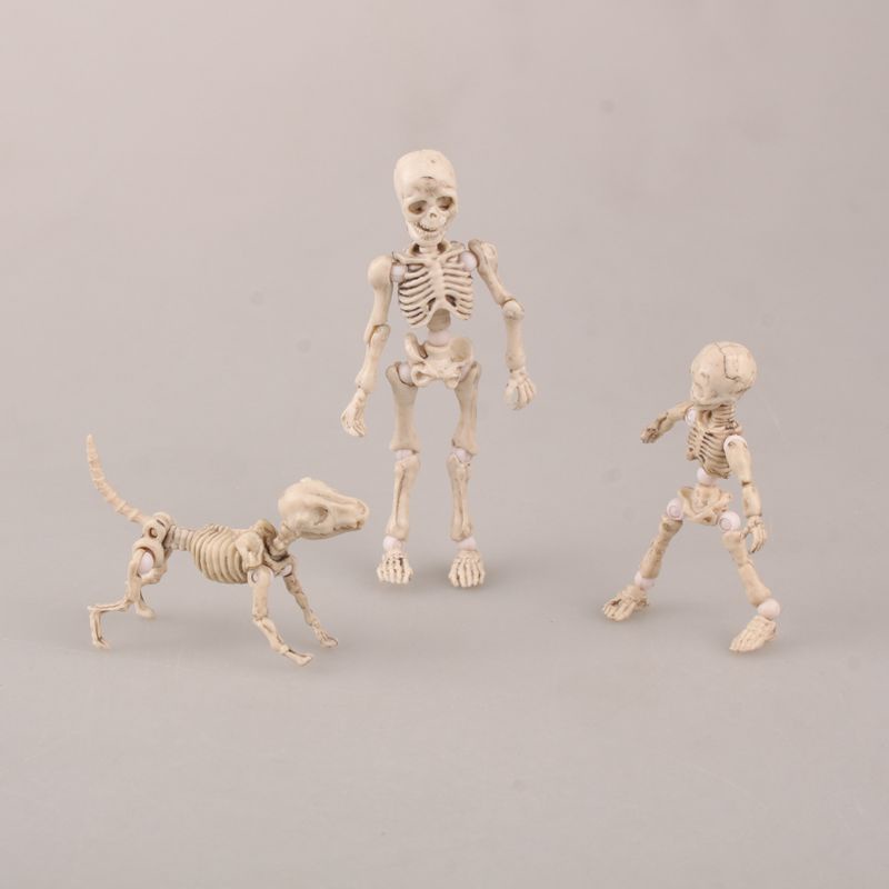 3-8cm Cute Fashion Design Mr. Bones Pose Skeleton Model with Dog Table ...
