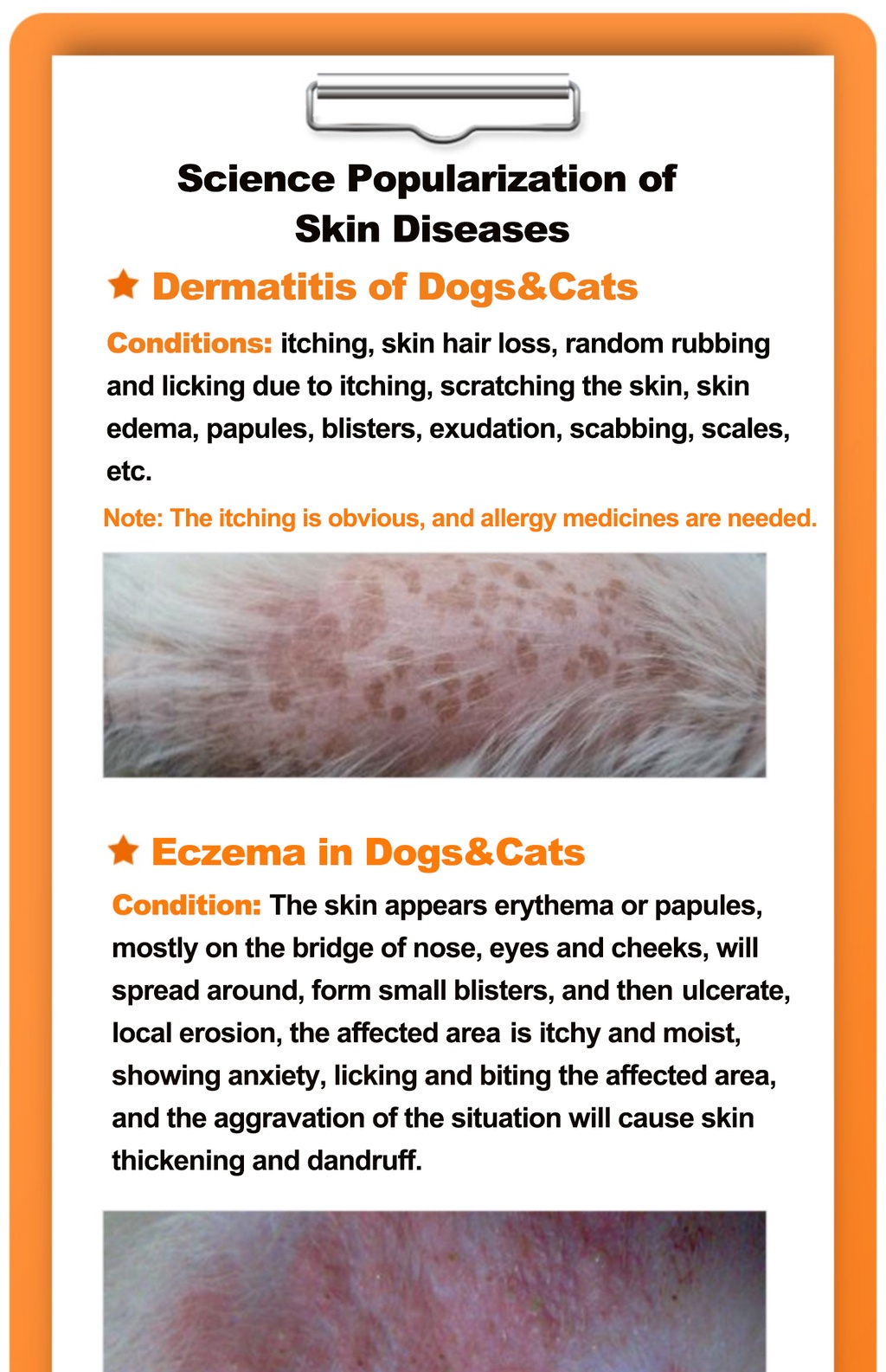 PUAINTA Pet Skin Treatment For Dog and Cat Allergy Dermatitis Eczema ...