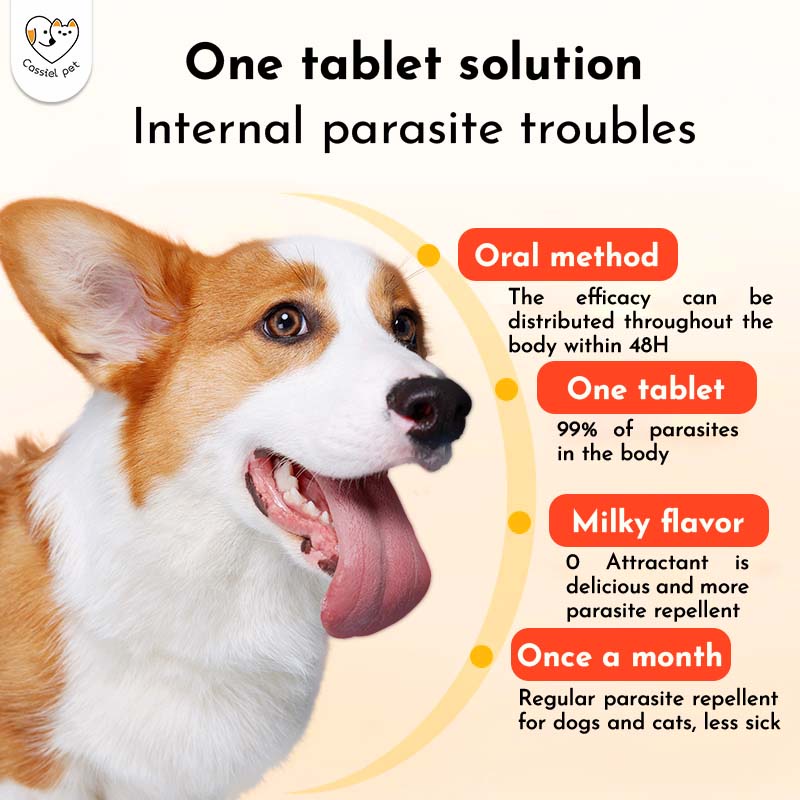 Drontal Buy 3 Get 1 Free Drontal Tasty Dewormer Tablets For Dogs Cats ...