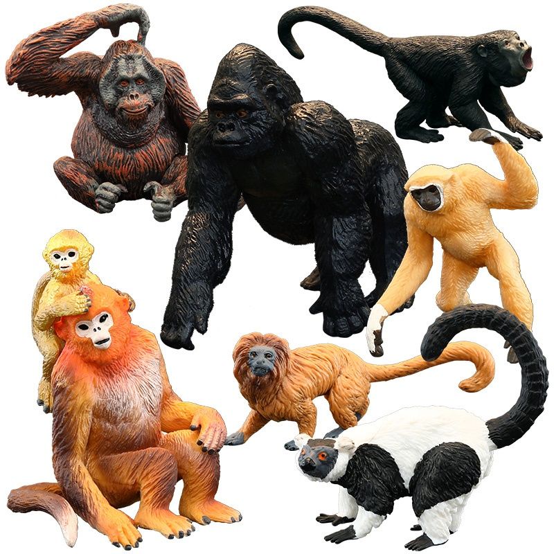 Primate monkey orangutan ape baboon simulation model kids early ...