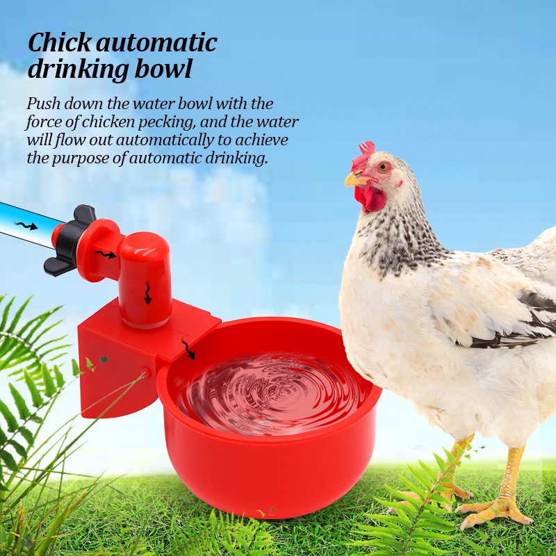【Ready stock】5/10 Pcs Automatic Poultry Drinker Bowl Chicken Bird Water ...
