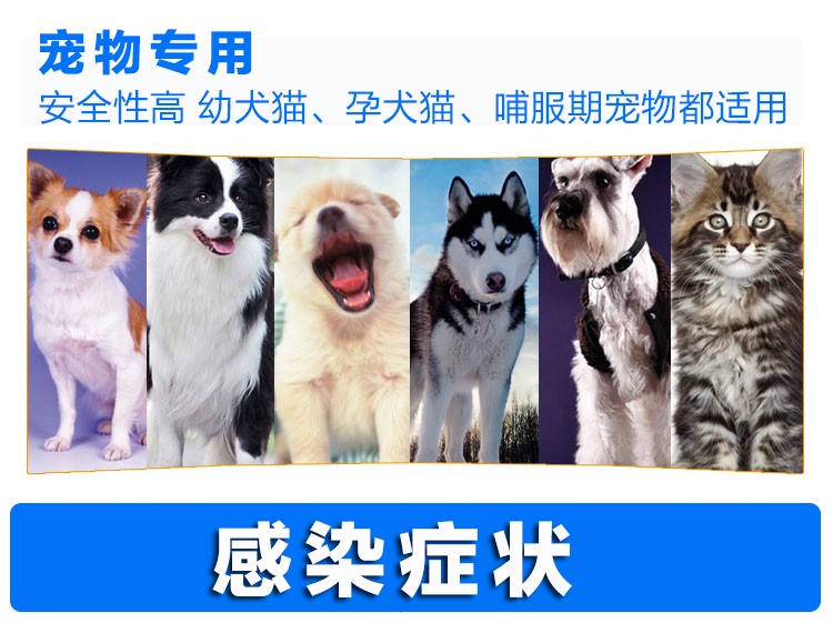 zoetis Synulox Tablets 50mg Cold and cough Skin infection Urinary Tract ...