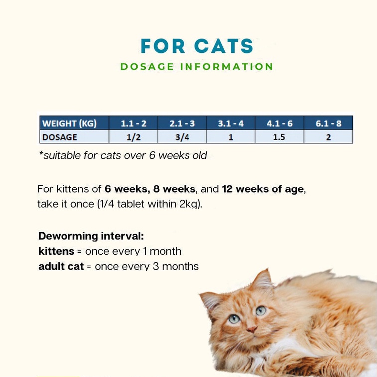 Drontal Plus 1 Tablet Tasty Dewormer Tablets For Cats Dogs Drontal ...