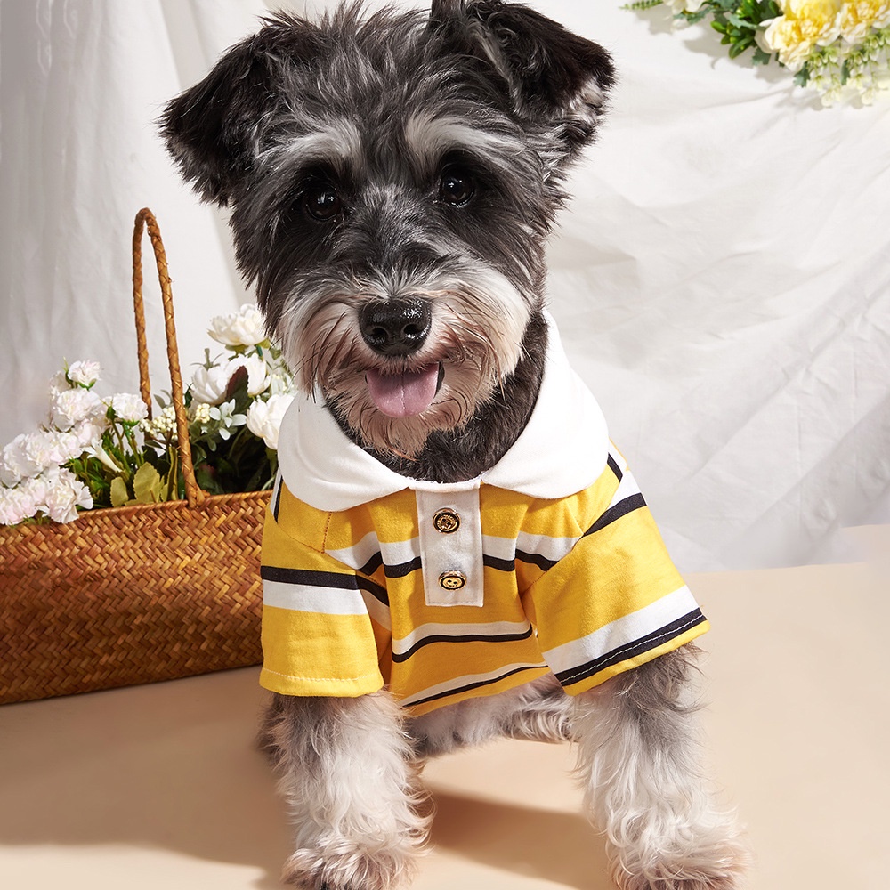 Dog Clothes for Shih Tzu Male Yellow Striped Pet Costume Summer Puppy ...