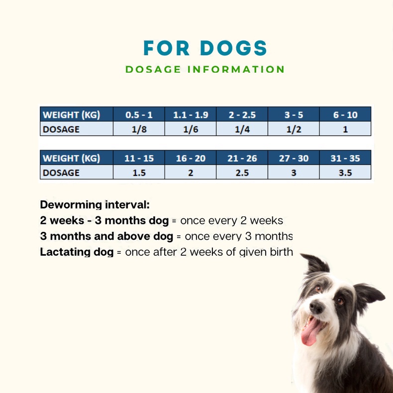 Drontal Plus 1 Tablet Tasty Dewormer Tablets For Cats Dogs Drontal ...