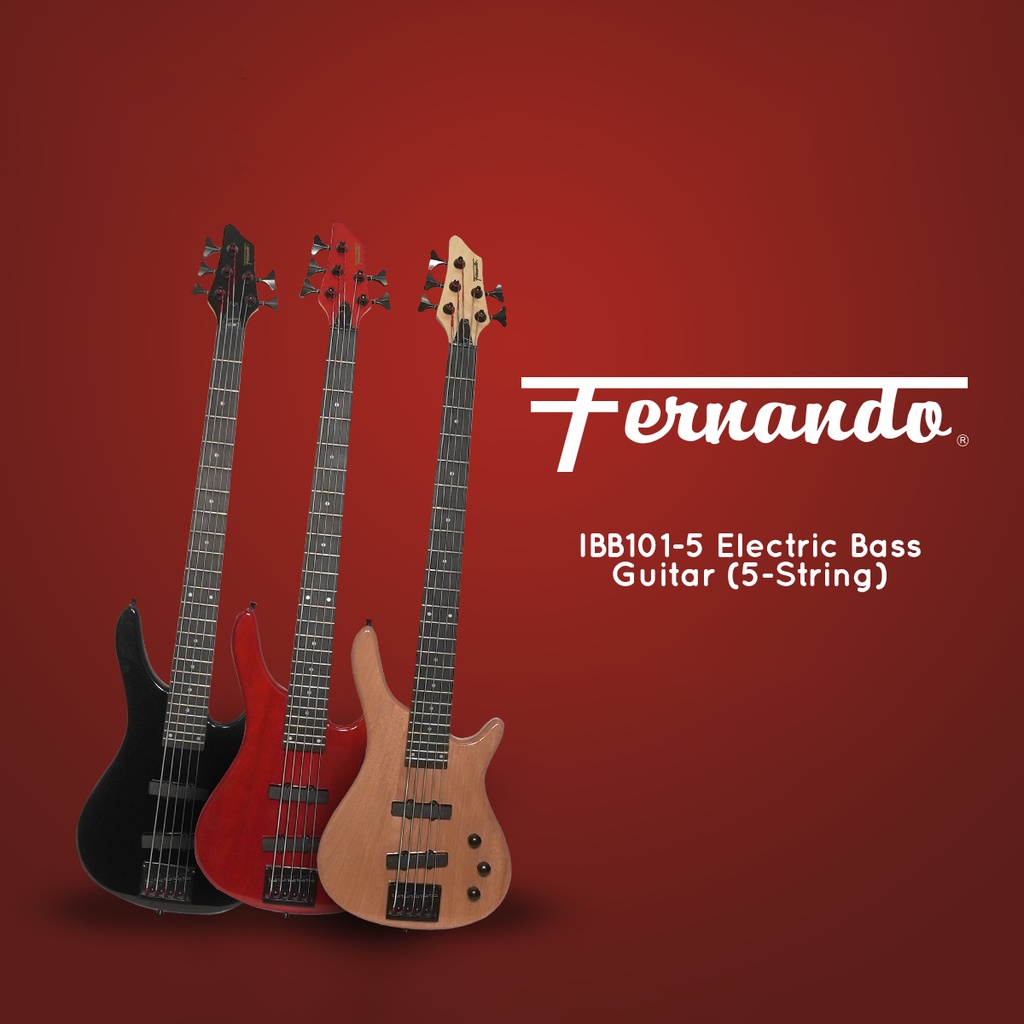 Fernando IBB-101 5-String 24 Frets Electric Bass Guitar with HH Pickups ...