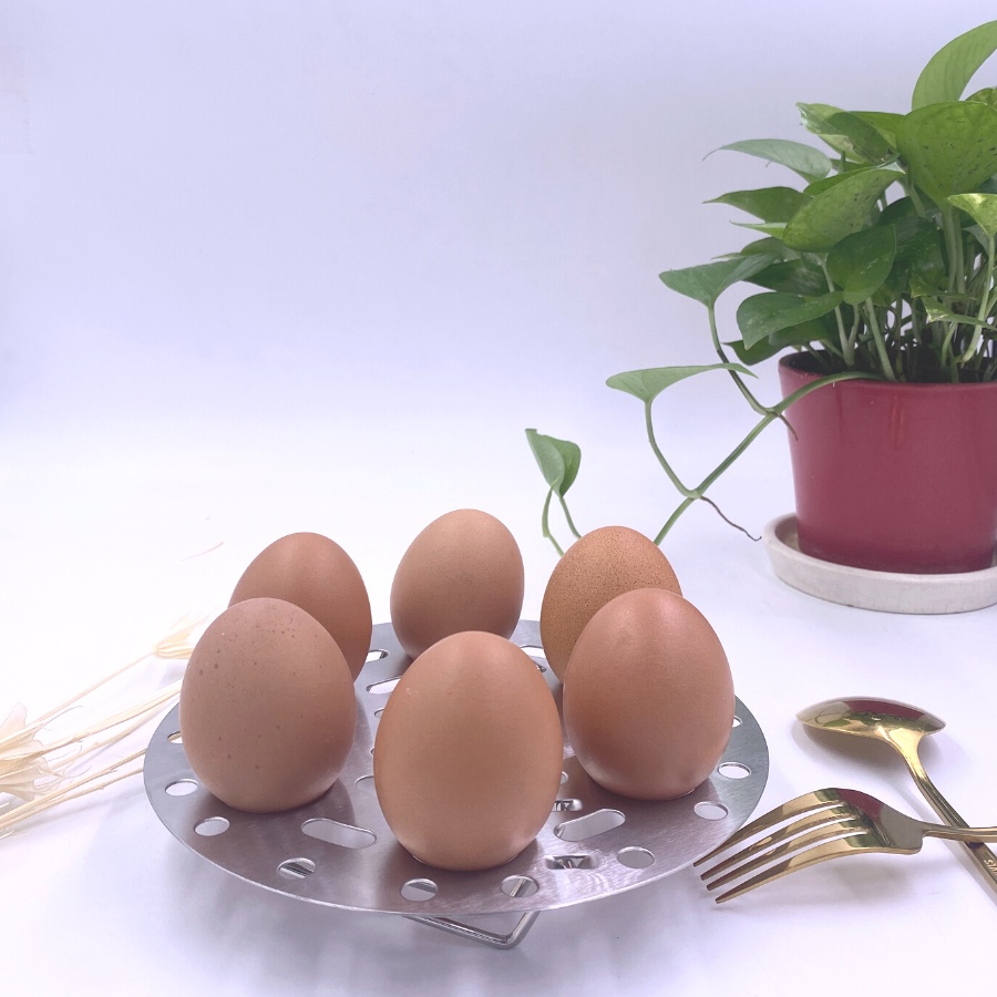 Super Chef folding foot steamer, 304 stainless steel (SC-MFT1707 ...