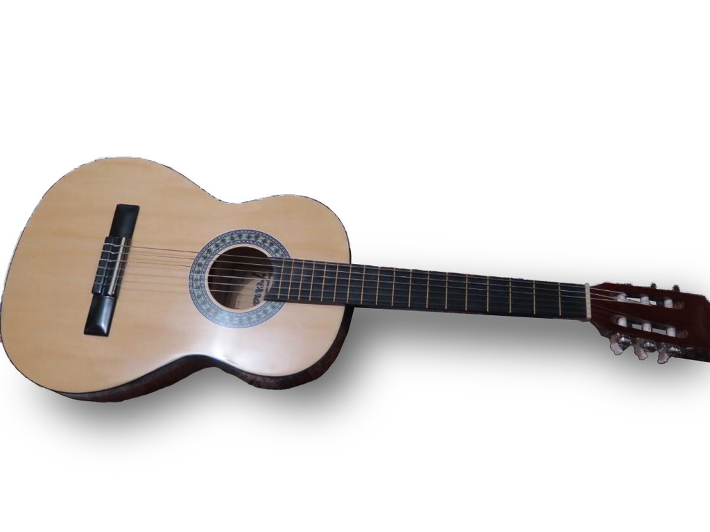 Fernando CG100 18 Fret 6 Nylon String Classical Acoustic Guitar w/ 34 ...
